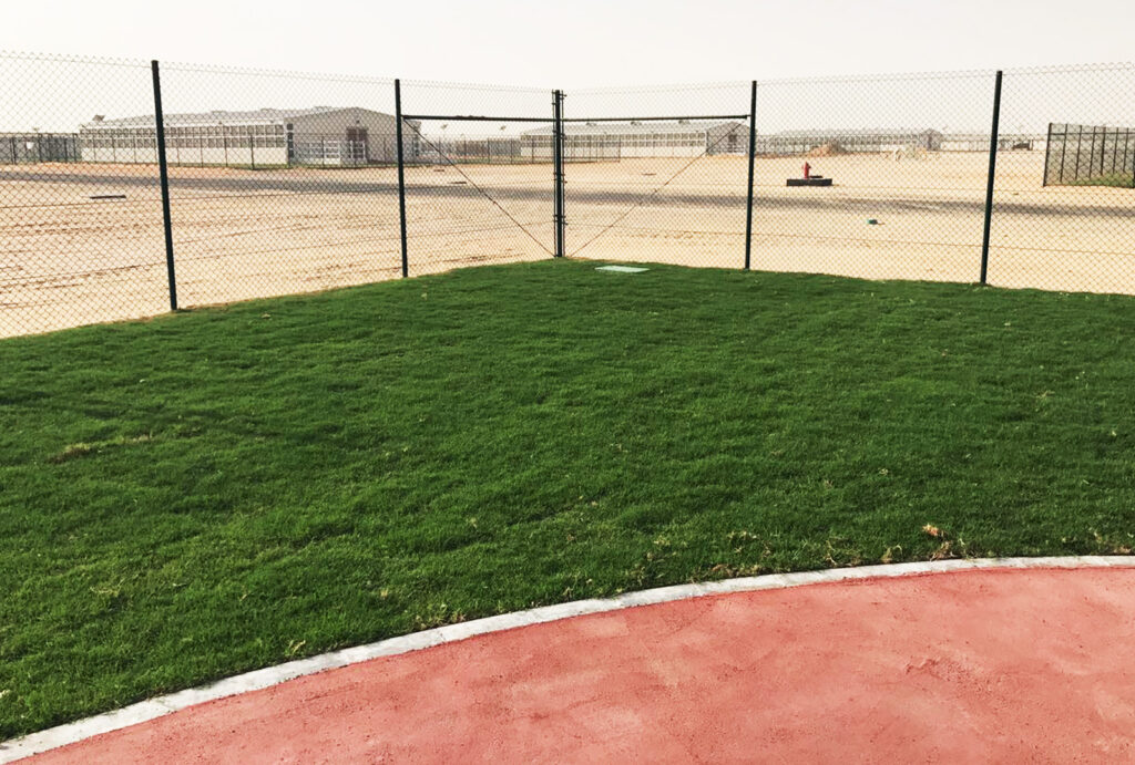 Meydan Project – Dubai – Greenstone